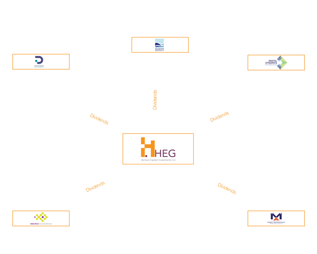Group Structure – HEG VENTURE CAPITAL INVESTMENTS LLC